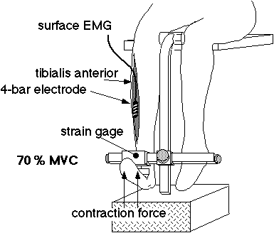 Topics > Analysis > Fatigue > S_Cont > Conditions